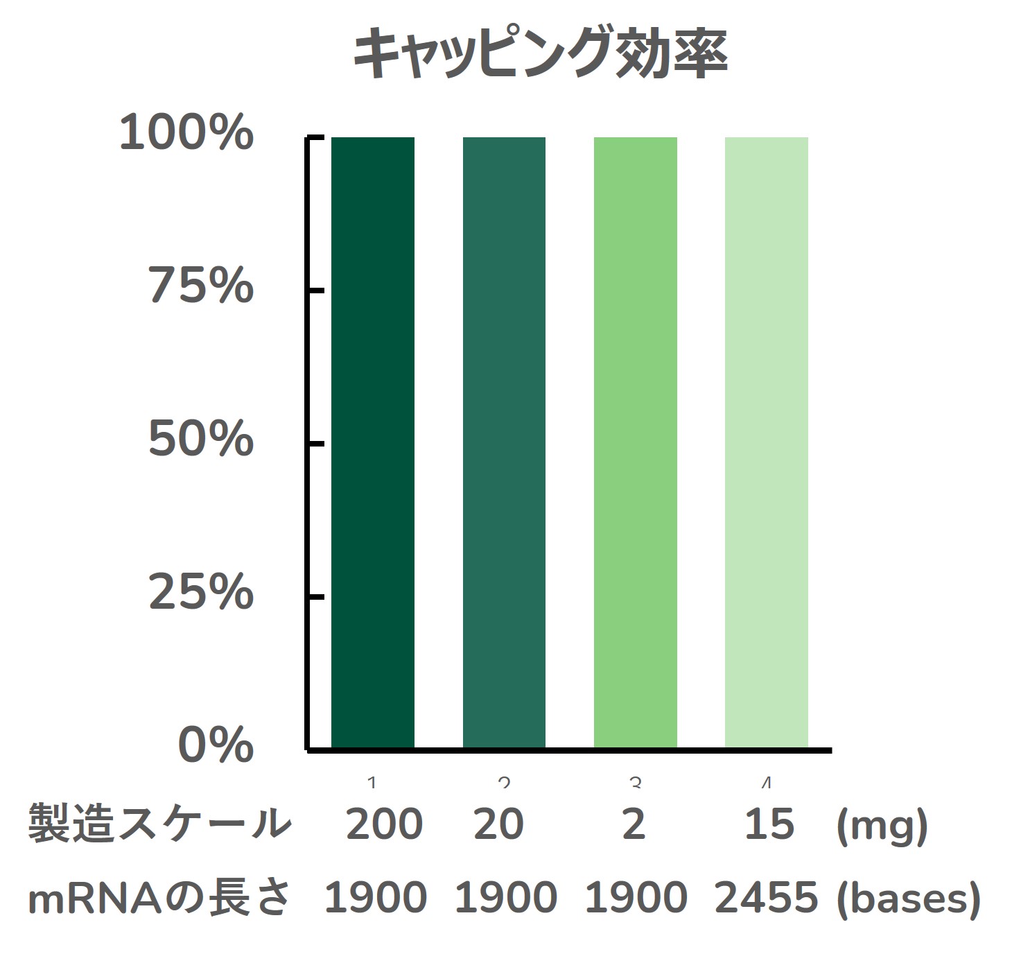 カスタムmRNA合成サービス（GMP対応/LNP対応可能） - 株式会社リプロセル