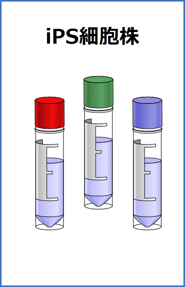 米国FDA INDクリアランス取得｜臨床グレード（臨床用）iPS細胞｜日米欧規制対応｜再生医療 - 株式会社リプロセル